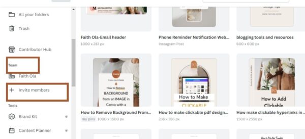 Canva Guide: 50+ Ultimate Canva Tips and Tricks