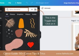 Canva Guide: 50+ Ultimate Canva Tips and Tricks
